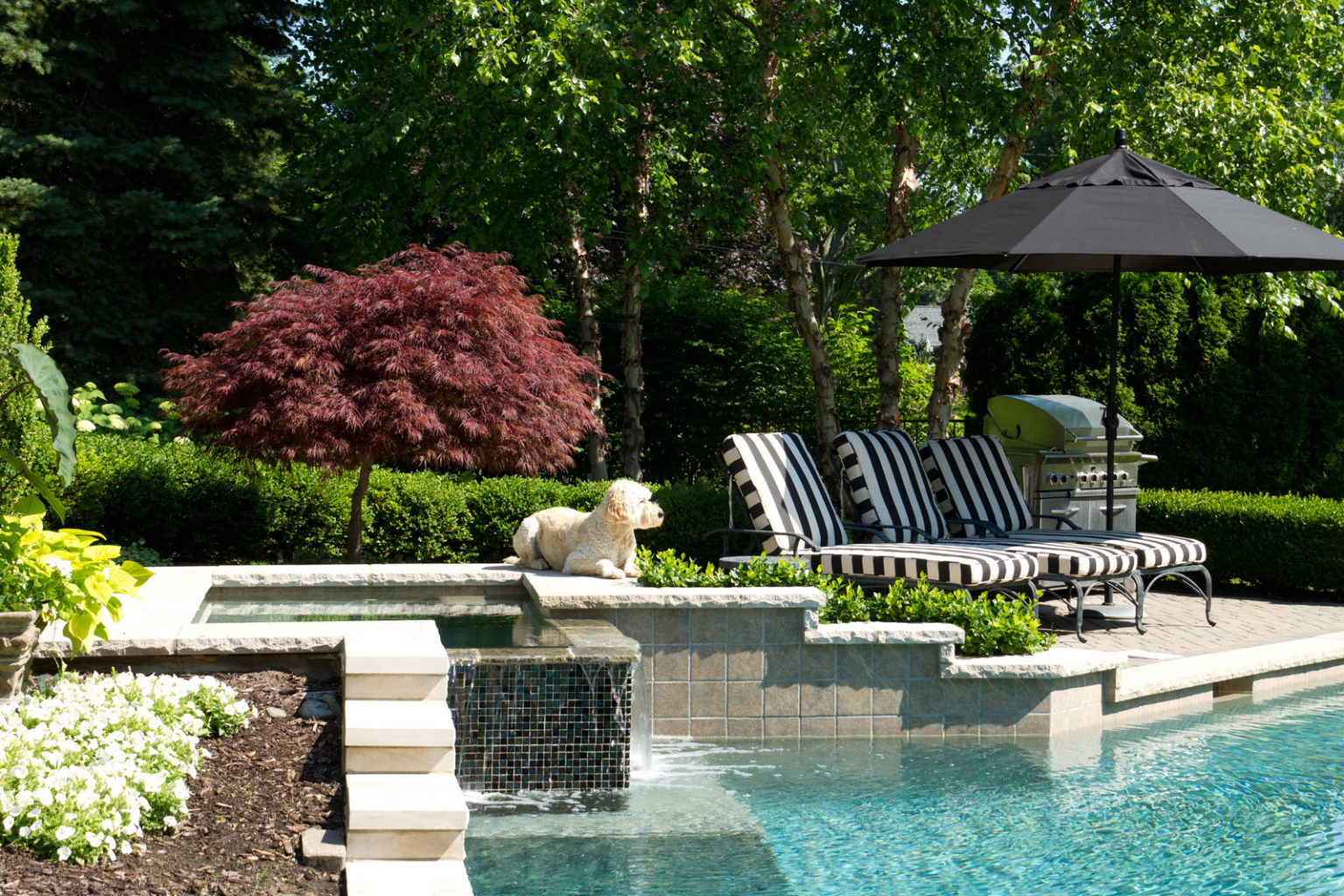 Swimming Pool Gathering Areas - Pool Builder in Raleigh, Swim